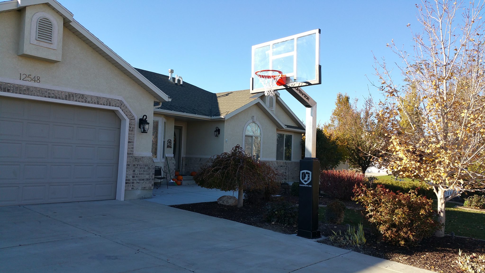 60 Inch Basketball Hoop | Adjustable Hoop | Dominator